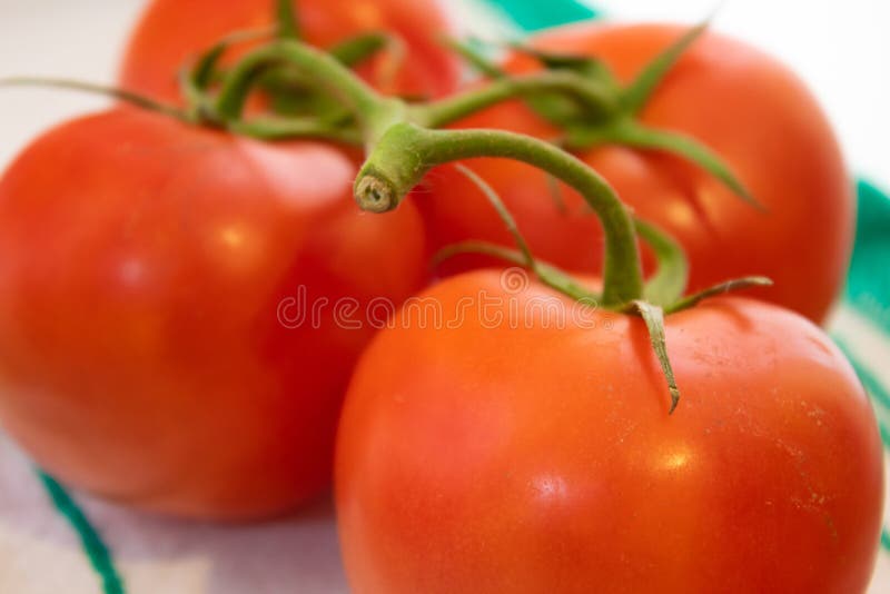 Red Round Tomatoes in a Wooden Board Stock Image - Image of ripe, juicy ...