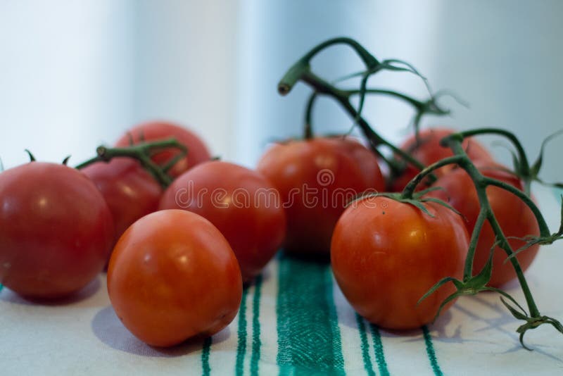 Red Round Tomatoes in a Wooden Board Stock Photo - Image of food ...