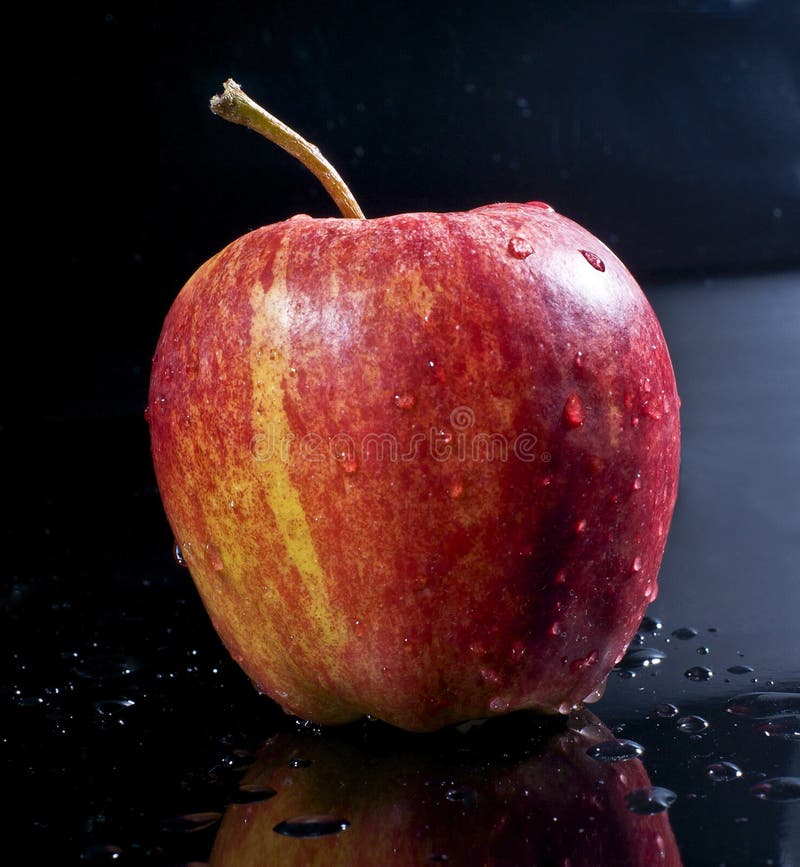 Red Royal Gala Apple with Water Drops Stock Image - Image of covered ...