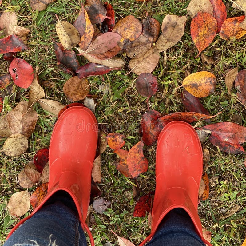 Red Rubber Boots in the Fall Leaves Stock Photo - Image of autum, trees ...