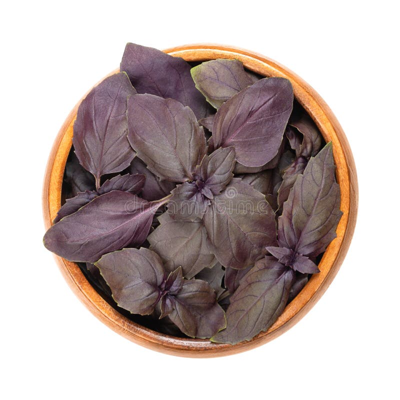 Red Rubin Basil Basil, Fresh Leaves in a Wooden Bowl Stock Photo ...