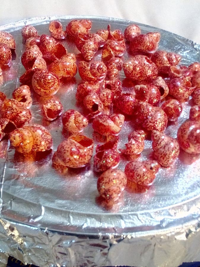 Red Ruby Colored Tiny Sea Shells Dyed Stock Image - Image of ruby ...