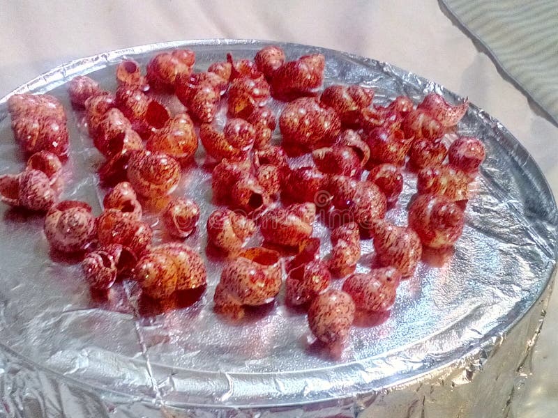 Red Ruby Colored Tiny Sea Shells Dyed Stock Photo - Image of colored ...