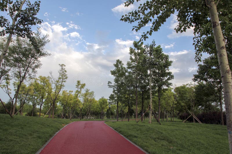The Red Runway is Flanked by Green Grass and Trees Stock Photo - Image ...