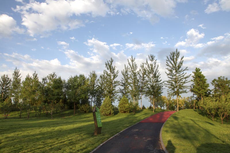 The Red Runway is Flanked by Green Lawns and Trees Stock Photo - Image ...