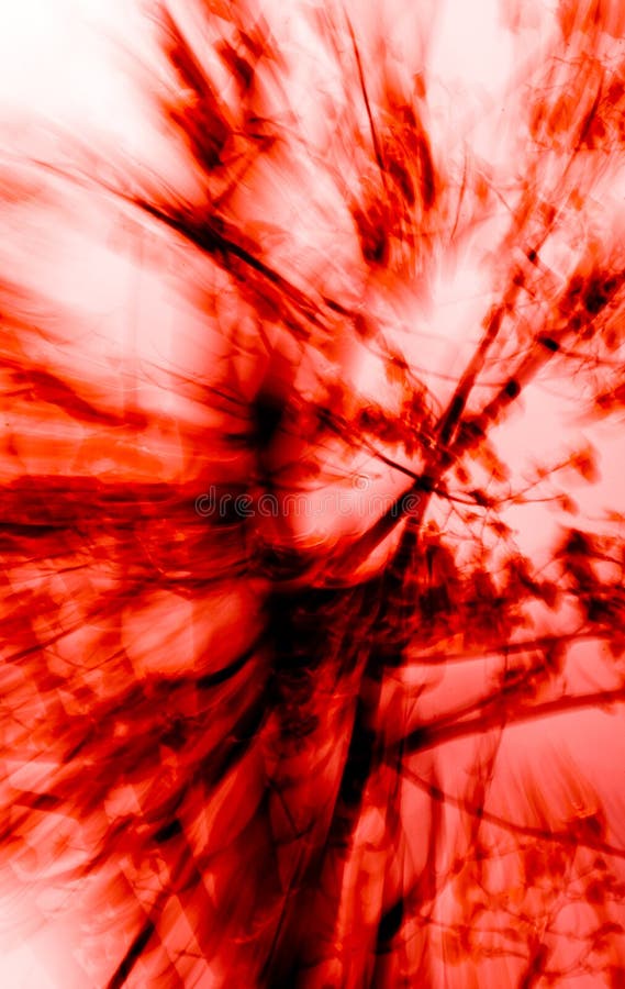 Red Rush into Trees #2 stock photo. Image of creation - 2283200