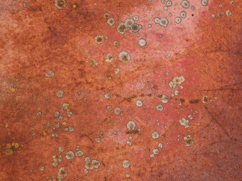 Red Rust and Lichen Abstract Stock Image - Image of patterns, grungy ...
