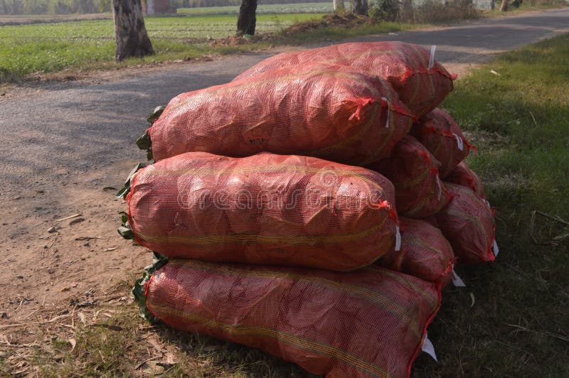 Red sacks stock image. Image of sacks, farm, field - 46437095