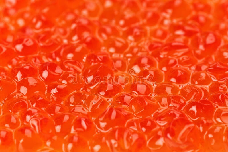 Red Salmon Caviar Texture Background Stock Image - Image of cuisine ...