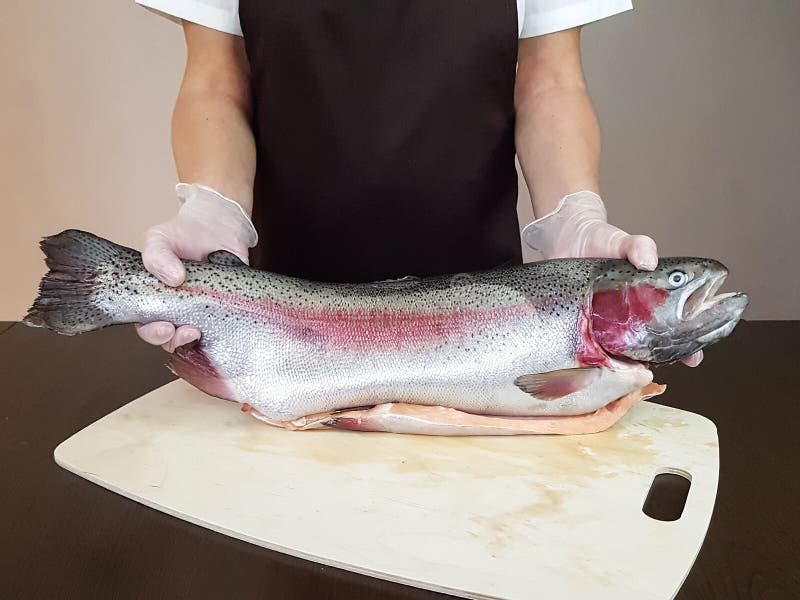Red Salmon Fish in the Hands of the Cook. Cutting Fish. Stock Photo ...