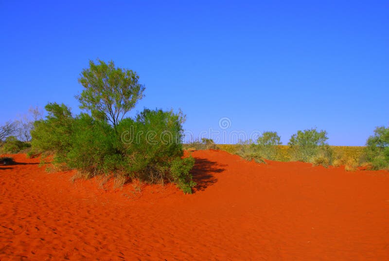 Red sand dune editorial stock image. Image of blue, bushes - 7339829
