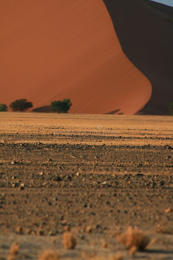 Red sand dune stock photo. Image of desert, natural, nature - 9146242