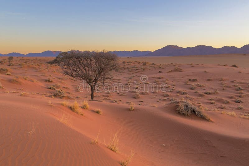 Red Sand Dune in the Desert Stock Image - Image of dust, horizon: 142239081