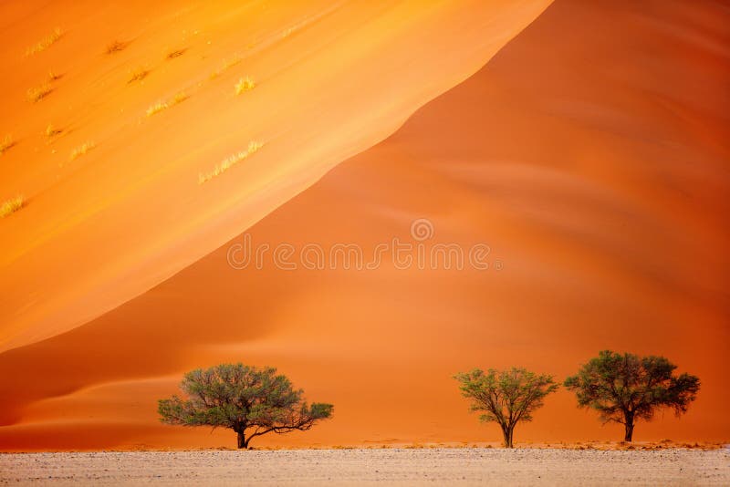 Red sand dune of Namibia stock photo. Image of beautiful - 153838216