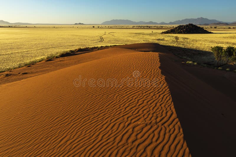 Red Sand Dune and Yellow Dry Grass Stock Image - Image of panoramic ...