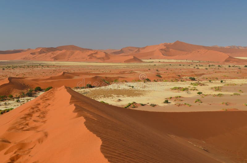 Red sand dunes stock photo. Image of blue, scenic, pattern - 59967390