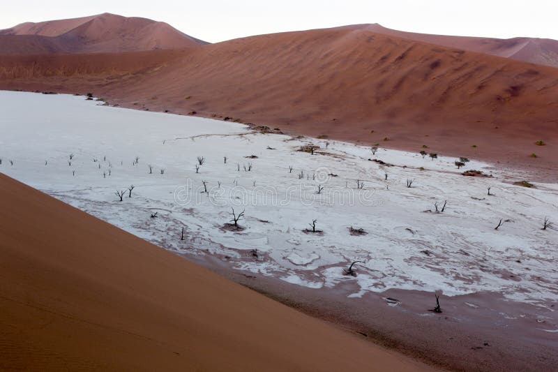 Red Sand Dunes, Salt Ground and Dead Trees, the Landscape at Deadvlei ...