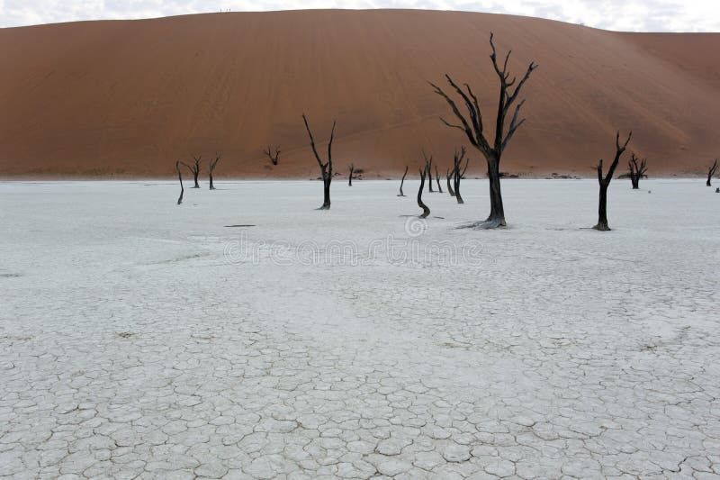 Red Sand Dunes, Salt Ground and Dead Trees, the Landscape at Deadvlei ...