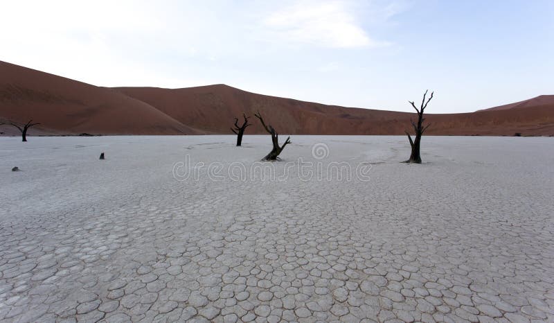 Red Sand Dunes, Salt Ground and Dead Trees, the Landscape at Deadvlei ...