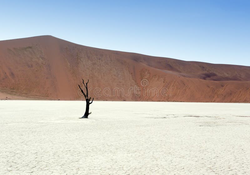 Red Sand Dunes, Salt Ground and Dead Trees, the Landscape at Deadvlei ...