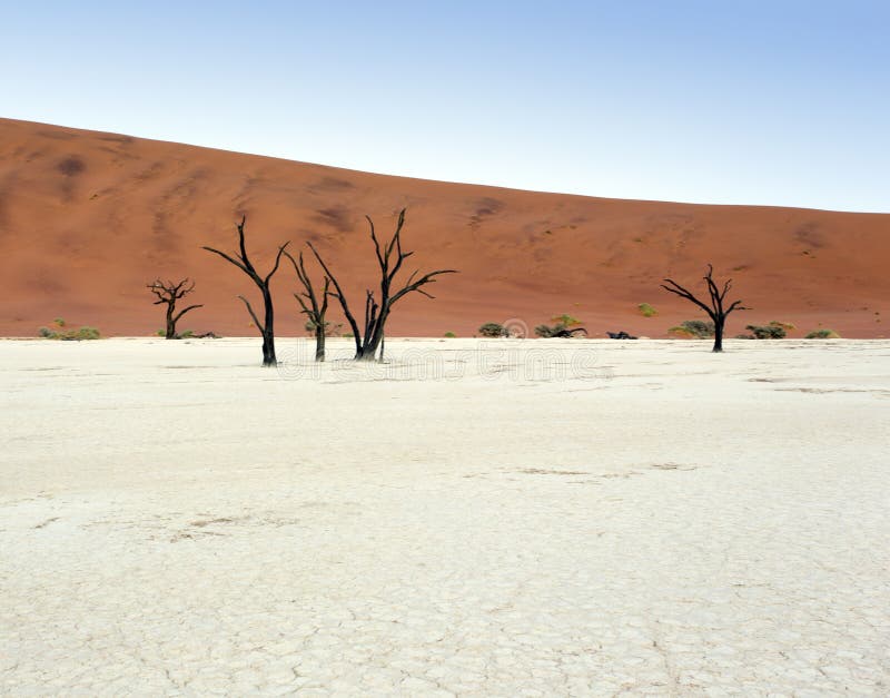 Red Sand Dunes, Salt Ground and Dead Trees, the Landscape at Deadvlei ...