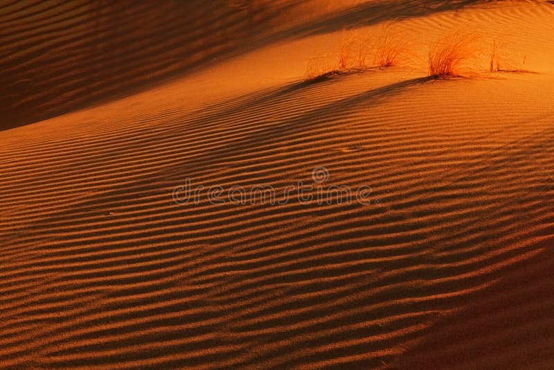 Red Sand Dunes and Shadows at the Sunset in Singing Dunes in Kazakhstan ...