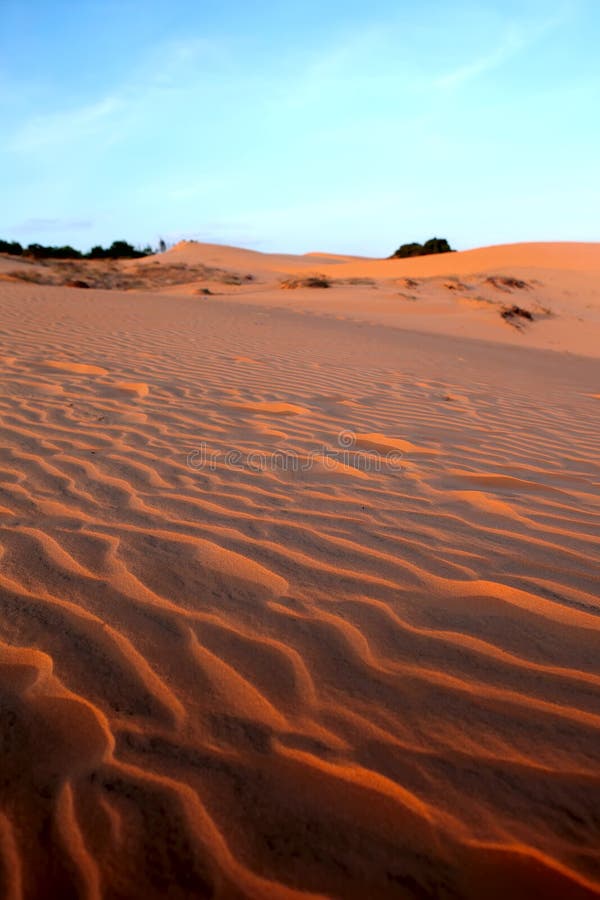 Red Sand Dunes. Sunset stock image. Image of thirst, outdoor - 28865173