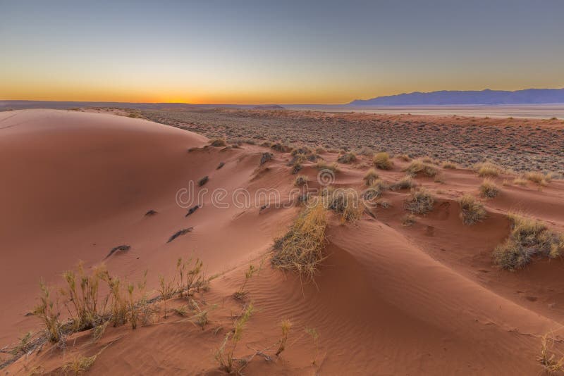 518 Red Kalahari Sand Dunes Stock Photos - Free & Royalty-Free Stock ...