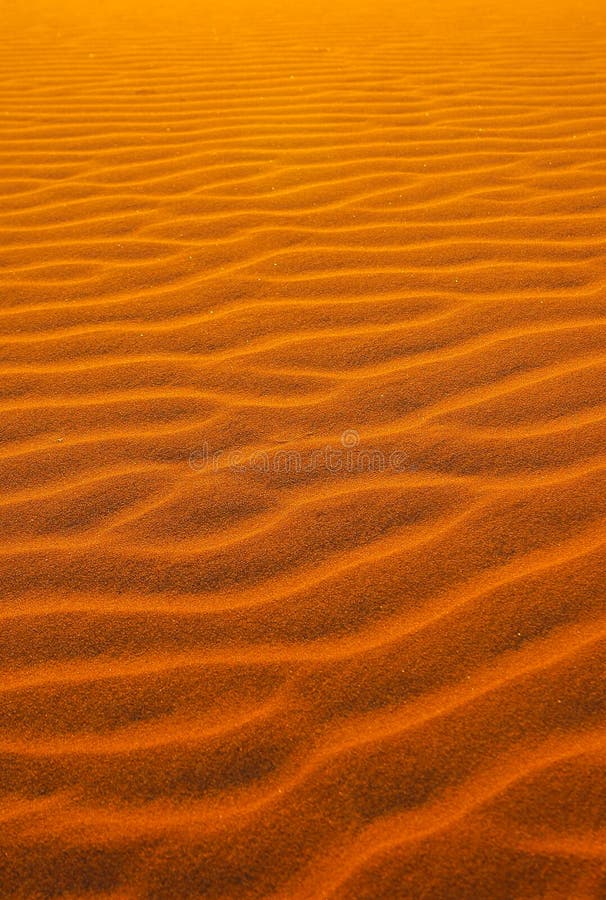 Red Sand in the Namib Desert Stock Image - Image of desert, color: 25782881