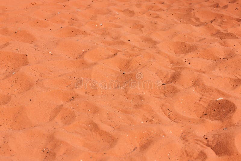 Red Sand in Nevada stock image. Image of landscape, cactus - 68406797