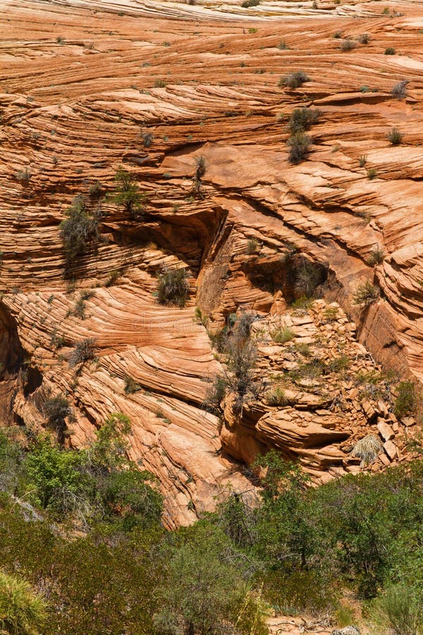 Red Sandstone, Utah stock image. Image of environment - 65574785