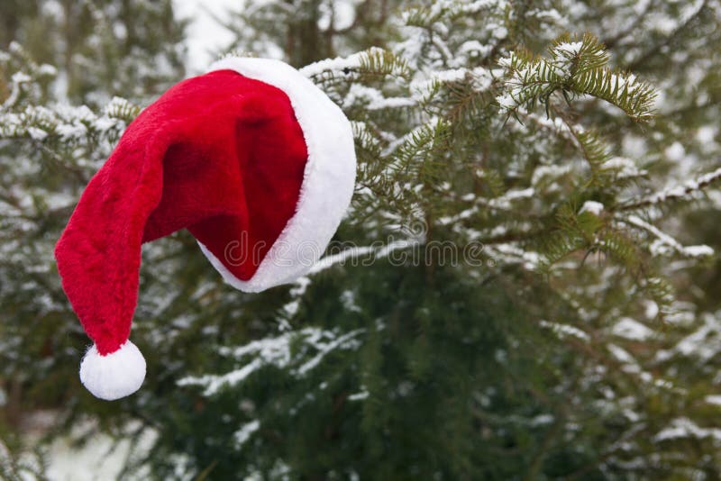 Red Santa Hat Hanging on a Branch in the Snow Stock Photo - Image of ...