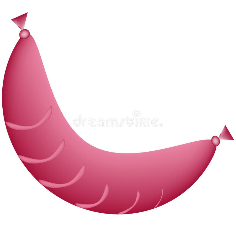 Red sausage for breakfast stock vector. Illustration of petal - 285789620