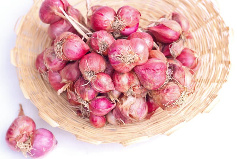 Roots Full Potatoes are Showing a Worker in Thakurgong, Bangladesh ...