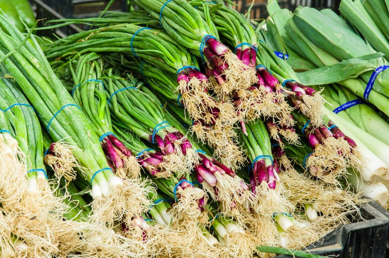 Red Scallions Bundles at the Market Stock Image - Image of greengrocery ...