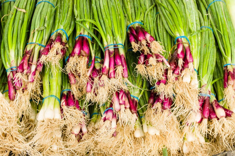 Red Scallions Bundles at the Market Stock Photo - Image of healthy ...
