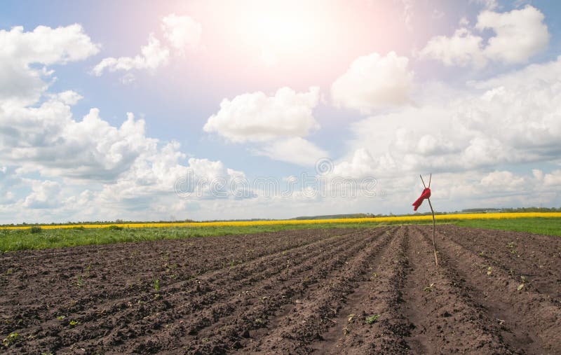 Red scarecrow stock image. Image of blue, cloud, field - 71452793