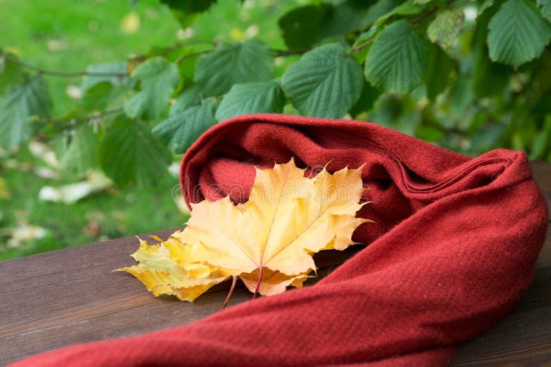 Red Scarf and Yellow Maple Leaves on a Table Stock Image - Image of ...