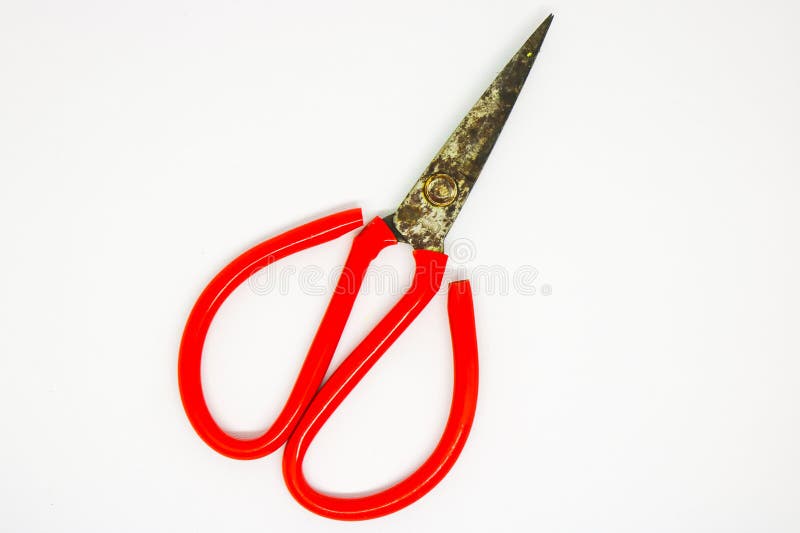 Red Scissors Isolated on White Background. Stock Image - Image of wing ...