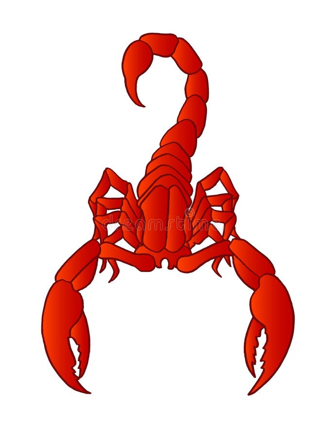 Red scorpion stock illustration. Illustration of tattoo - 11533752