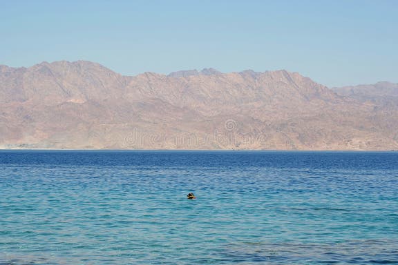 1,007,429 Red Sea Search Stock Photos - Free & Royalty-Free Stock ...