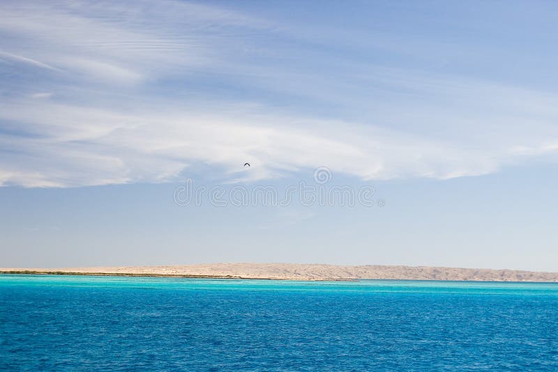 Red Sea Picture. Image: 3471951