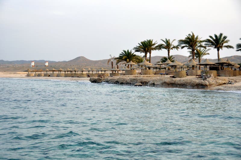 Red Sea beach stock image. Image of natural, relaxing - 14530051