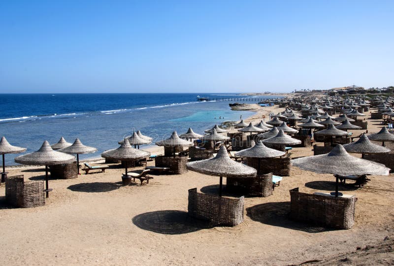 Red Sea beach - Egypt stock photo. Image of season, deserted - 13140750