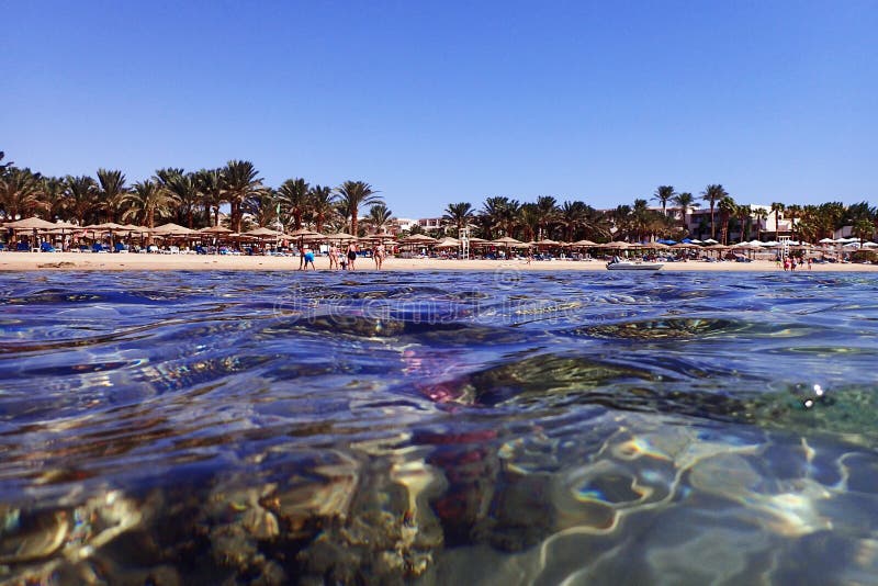 Red sea beach from the sea stock image. Image of tropical - 213722905