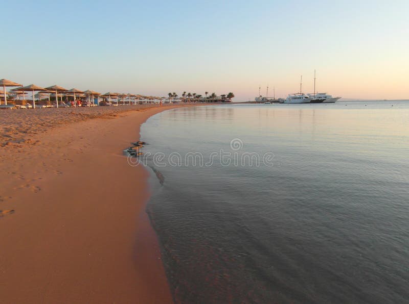 Red Sea Beach in the Morning Sun Stock Photo - Image of ocean ...