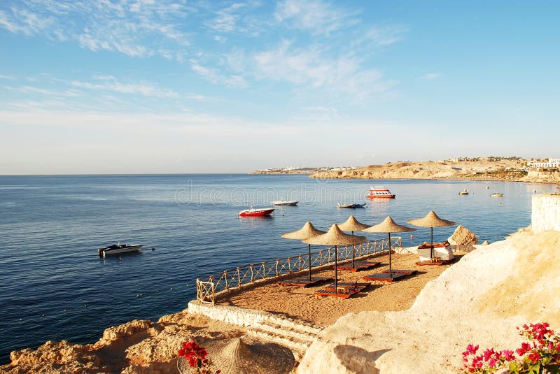 Red sea coast stock image. Image of climate, beauty, coastline - 12778195