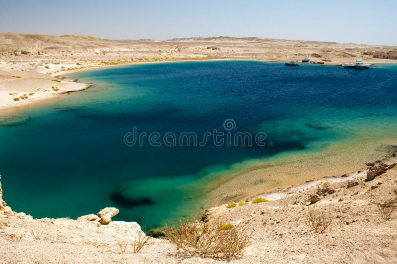 Red sea coast stock image. Image of marina, beauty, animal - 68732211