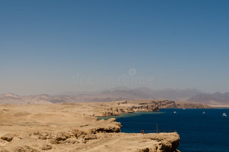 Red sea coast stock photo. Image of reef, hills, colony - 68732636