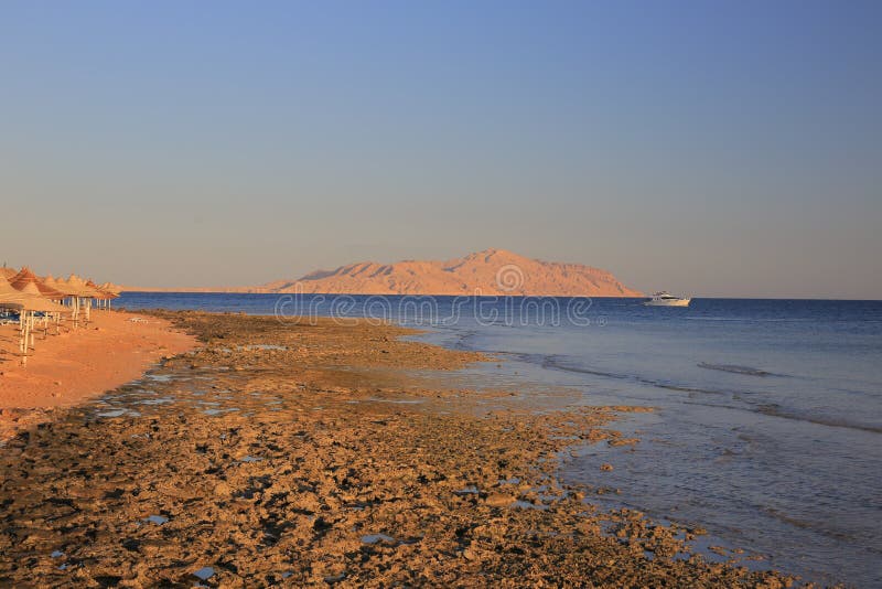 Red sea coast stock image. Image of tropical, summer - 44407915